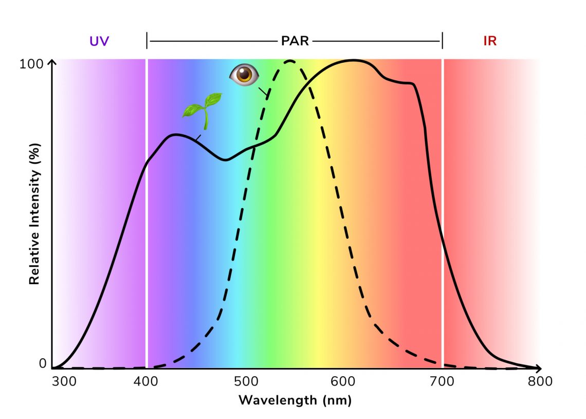 Understanding the Most Important LED Grow Light Metrics